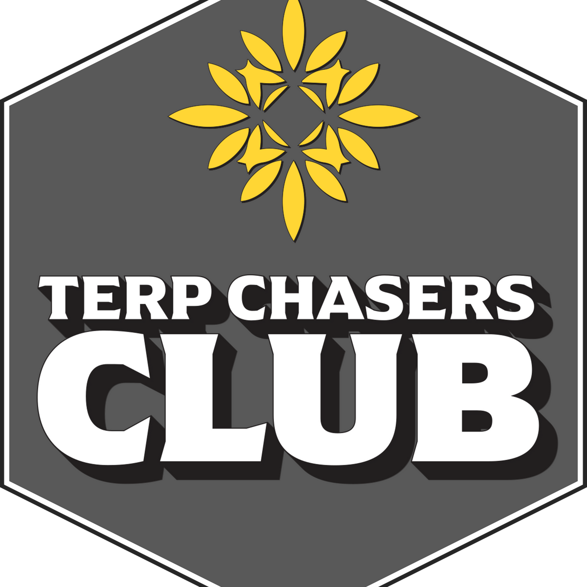 Universal Baller Accessories Guide – TCC